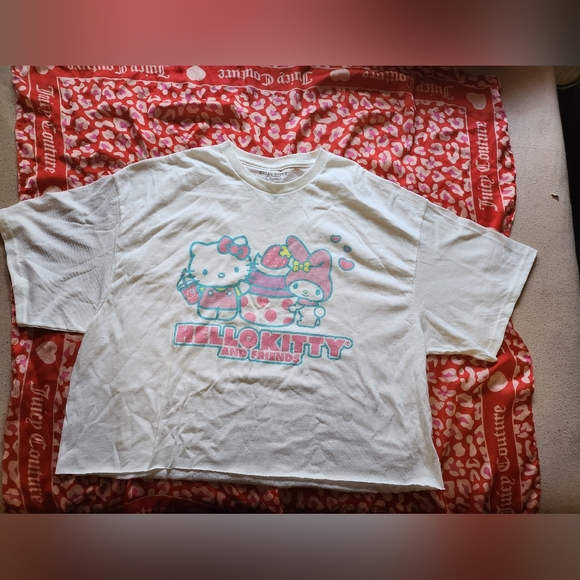 Hello Kitty | Tops | Hello Kitty Crop Top | Poshmark